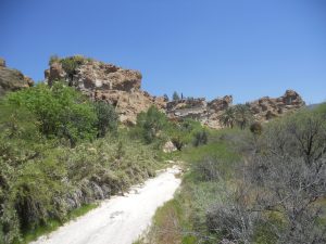 Before ACTIONS can change, we need to adjust those thoughts and ...